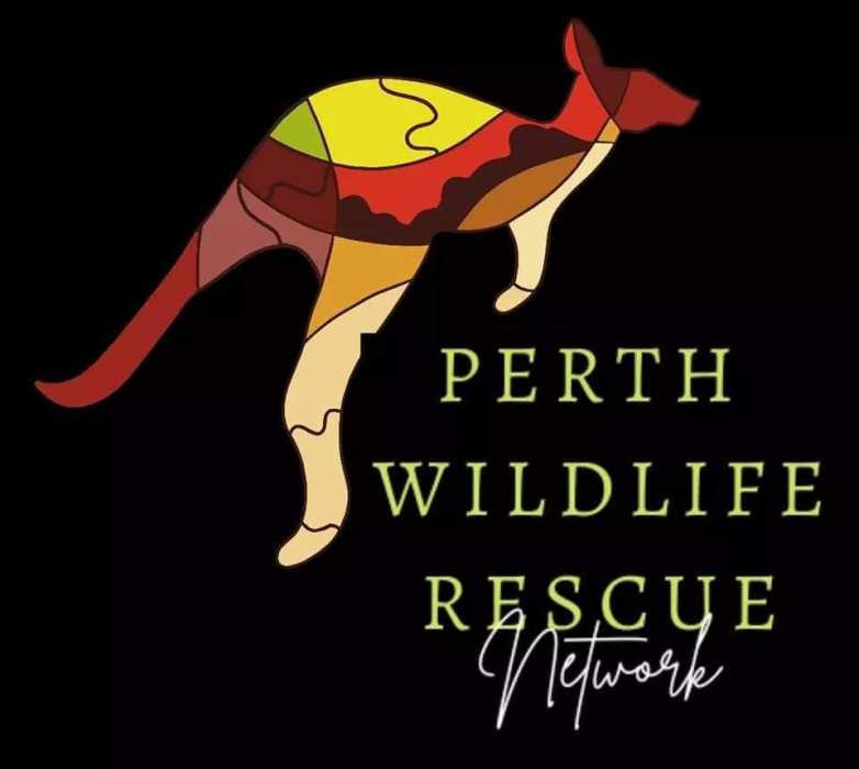 Reptile Relocators – Perth Wildlife Rescue Network